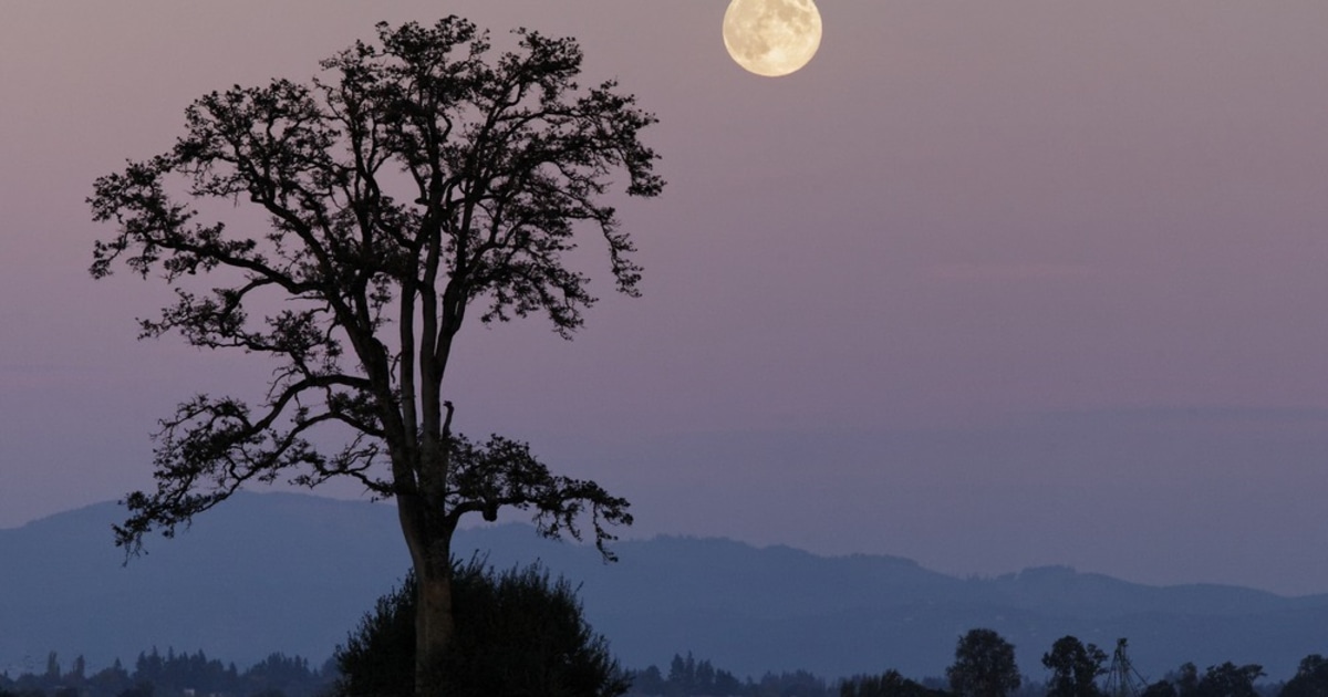 Shine on, Harvest Moon: Strange facts about tonight's full moon