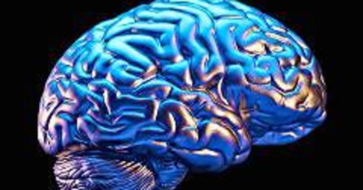 The push to create a $30 portable brain recorder