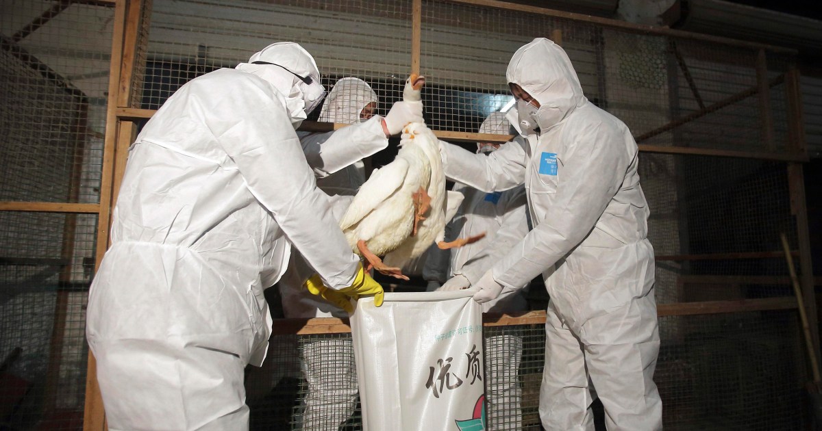 Look for weird flu symptoms, CDC reminds doctors