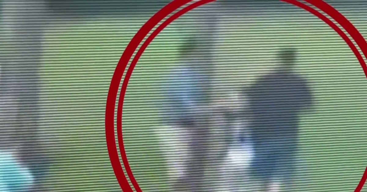 Arrestan a hombre acusado de intentar secuestrar a su expareja en Florida