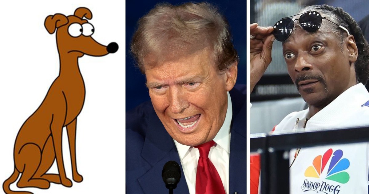 Las redes explotaron en memes tras Trump decir que en Springfield (no ...