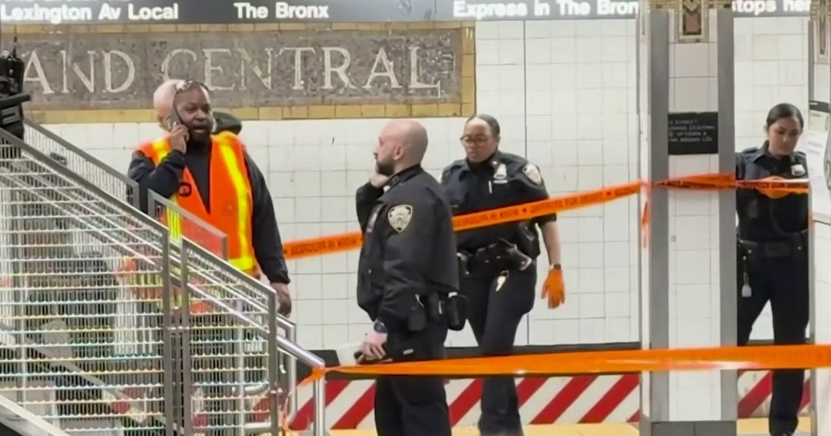 Ataque con machete en la terminal Gran Central de Nueva York deja tres ...