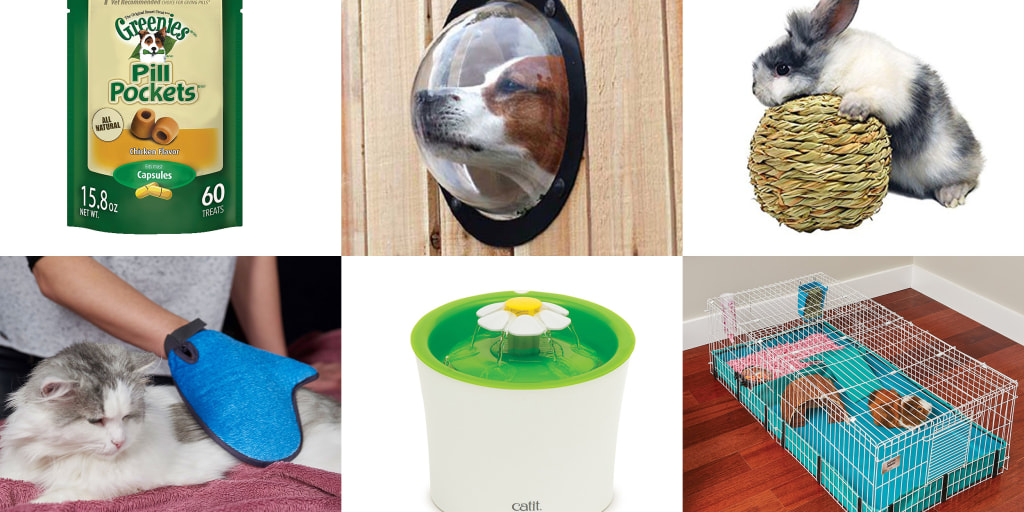 pet supplies examples