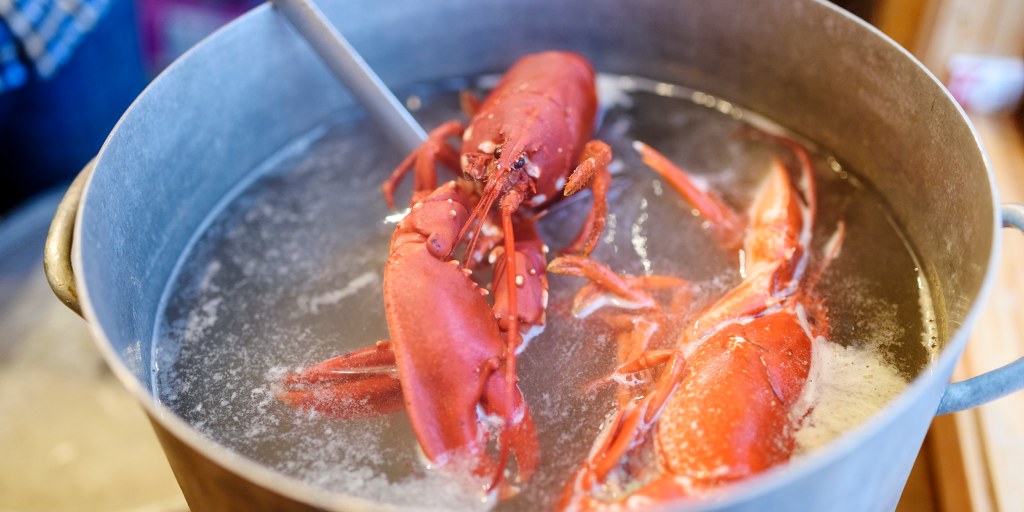 how to boil a live lobster at home