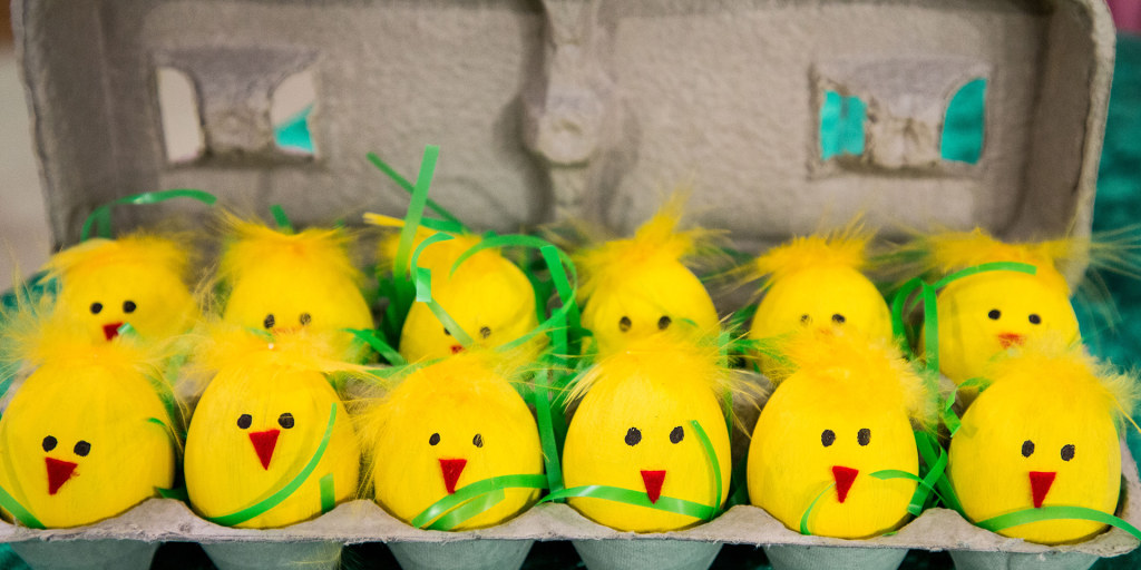 egg competition chick