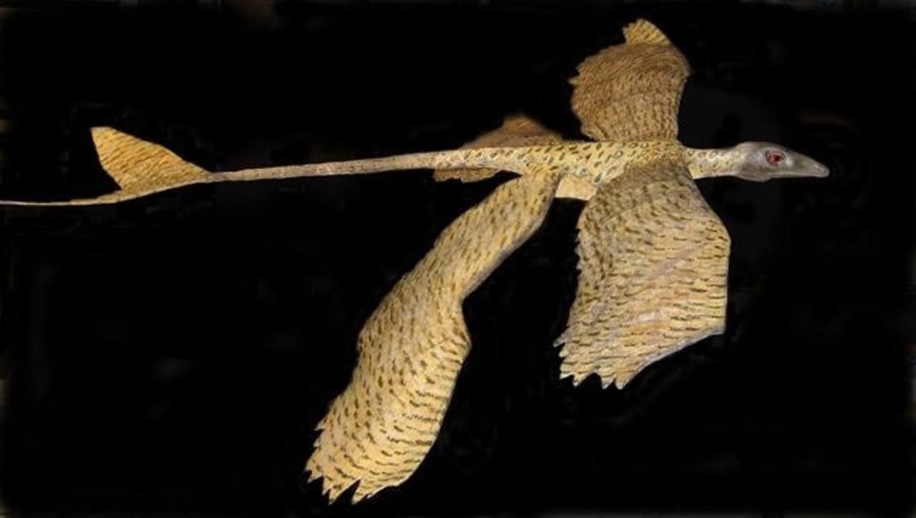 microraptor gui skeleton