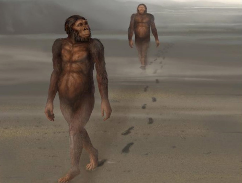 walking with beasts australopithecus