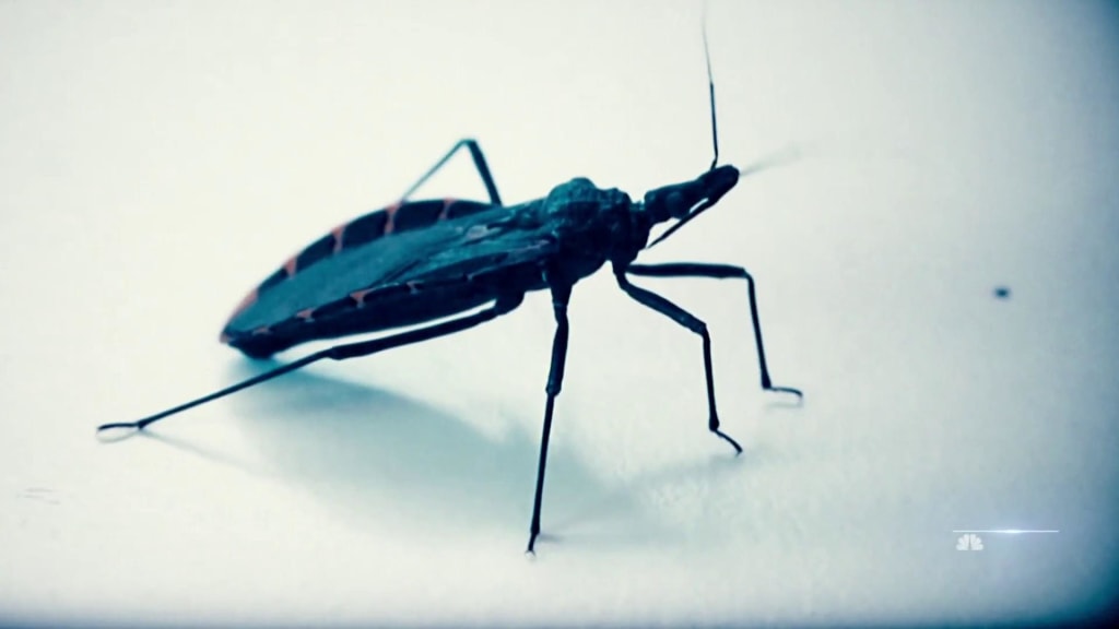 Dangerous Bugs
