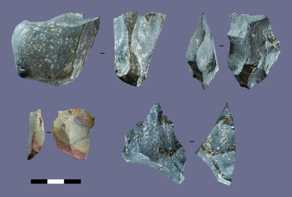 australopithecus tools and weapons