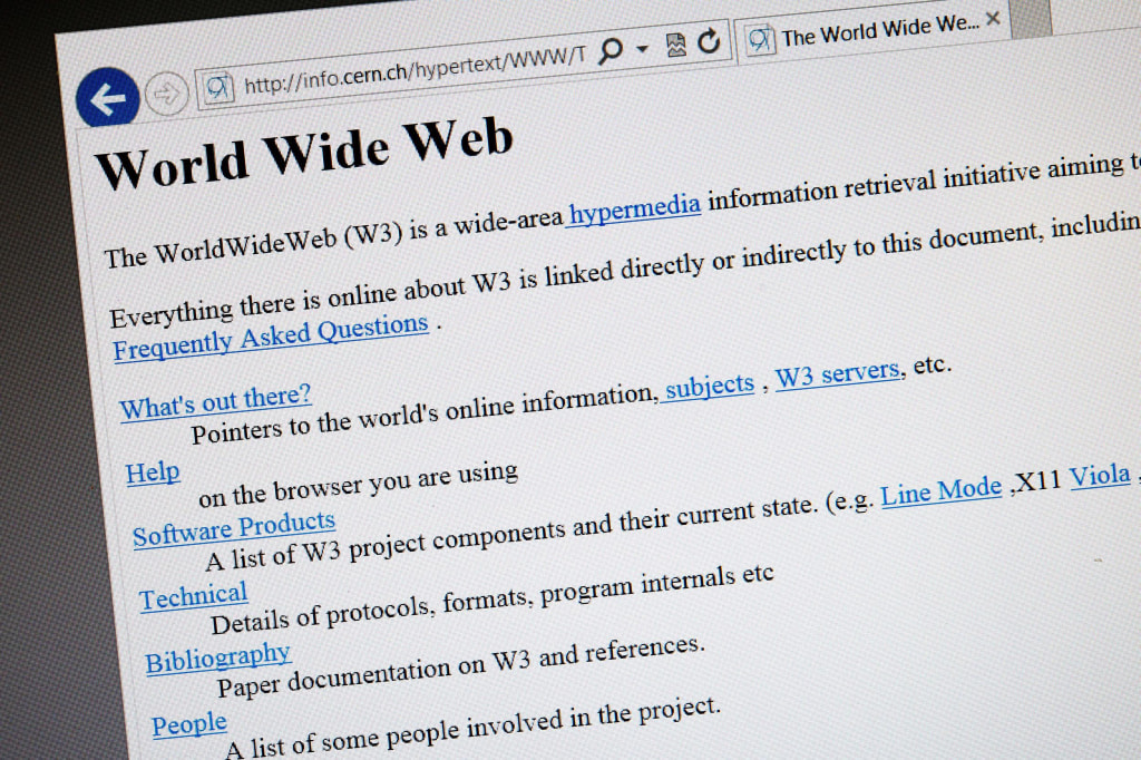 world wide web function