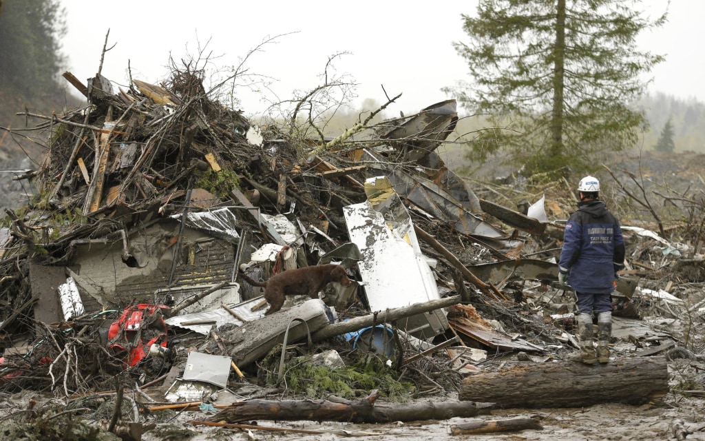 landslide primary school