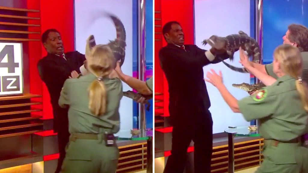 steve burton wbz kids