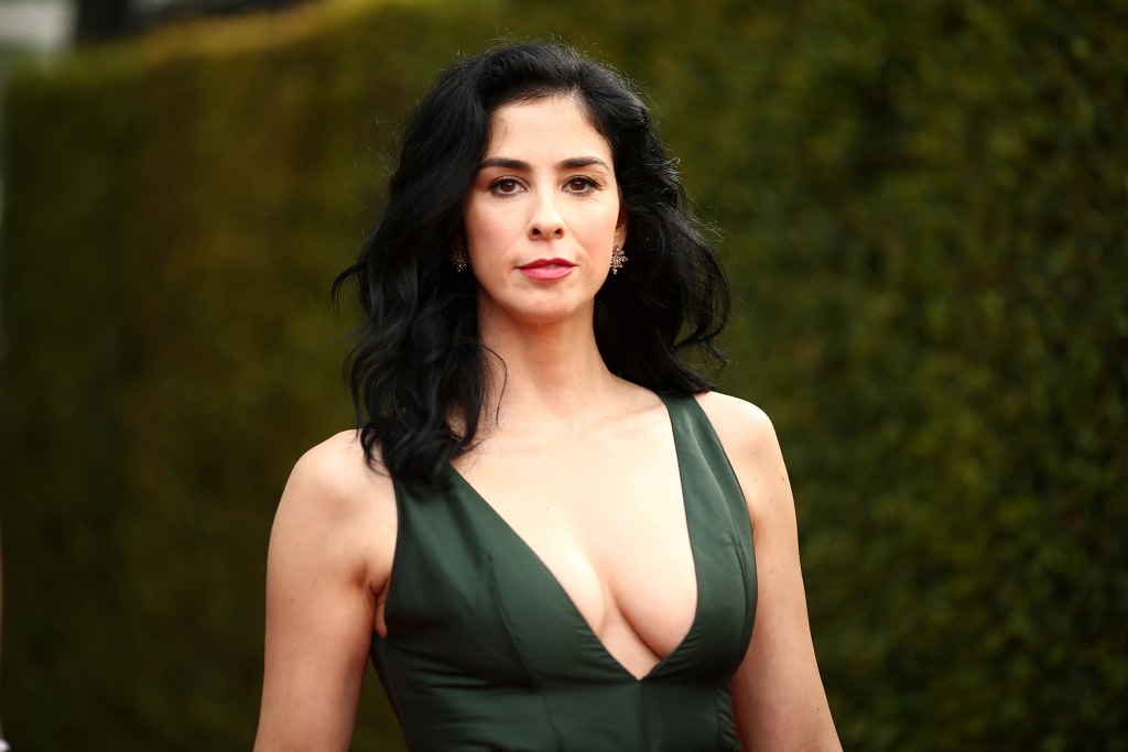 sarah silverman face shape