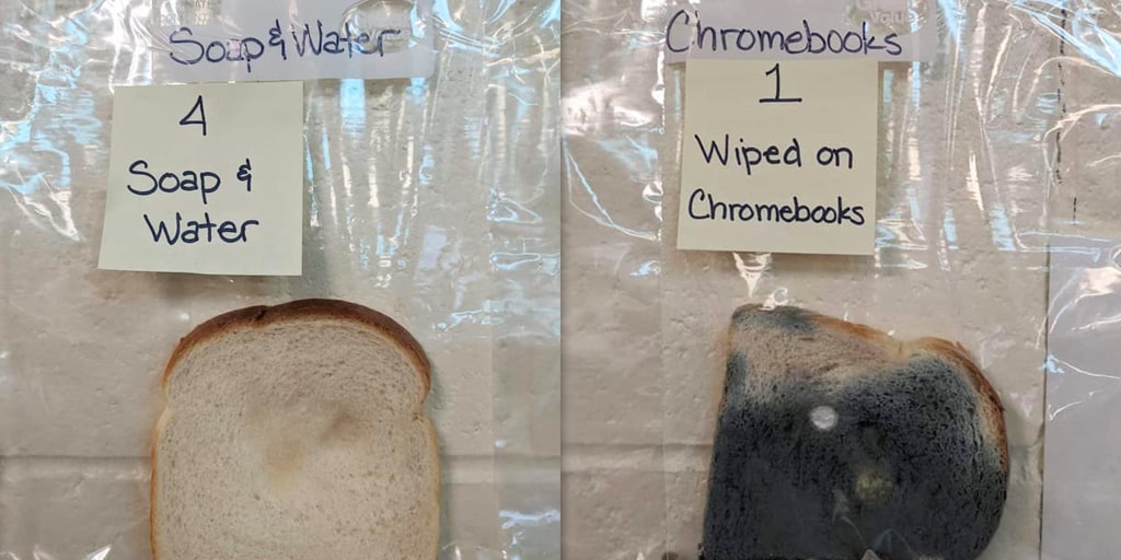 germs on hands experiment