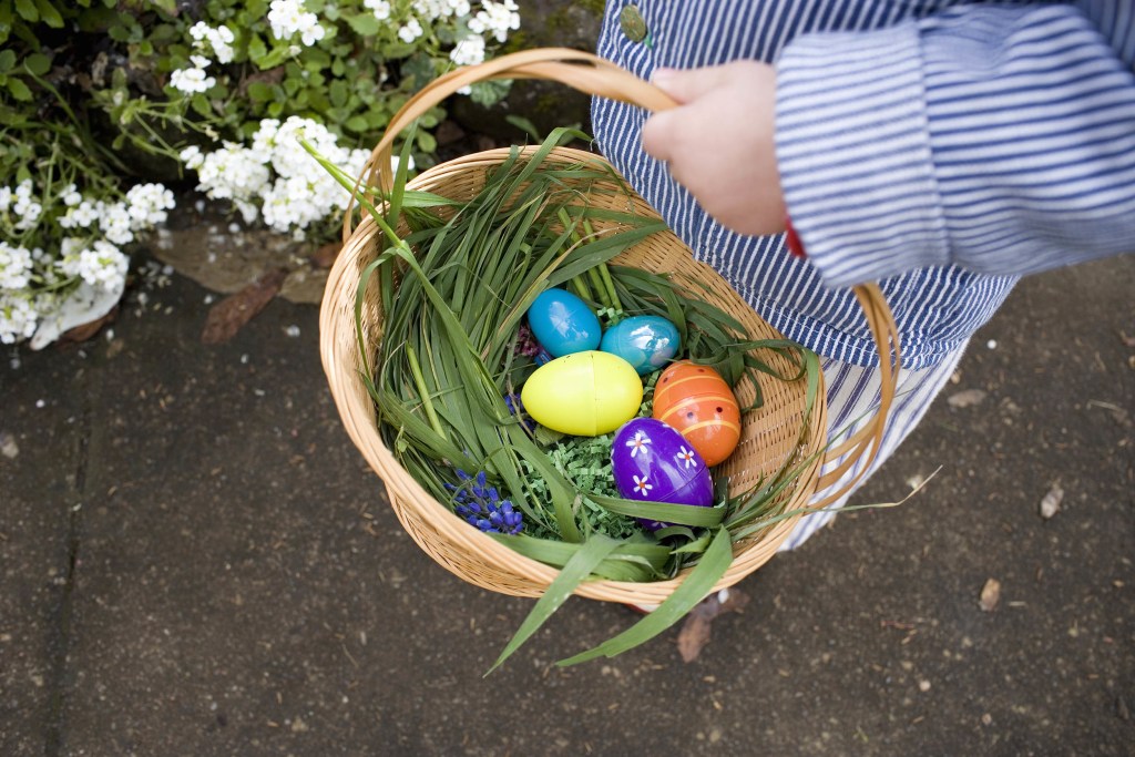 Funny easter egg hunt store