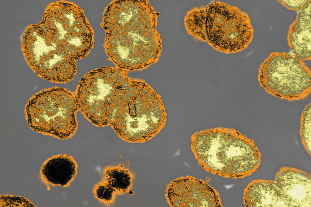 Gonorrhea Antibiotics Tablets