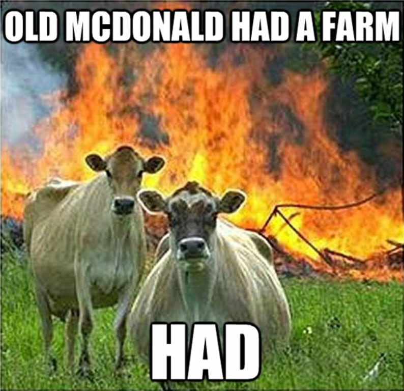 evil cows