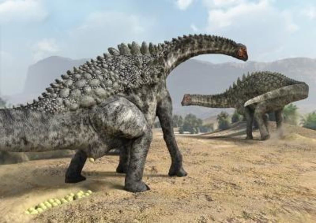 ampelosaurus skeleton