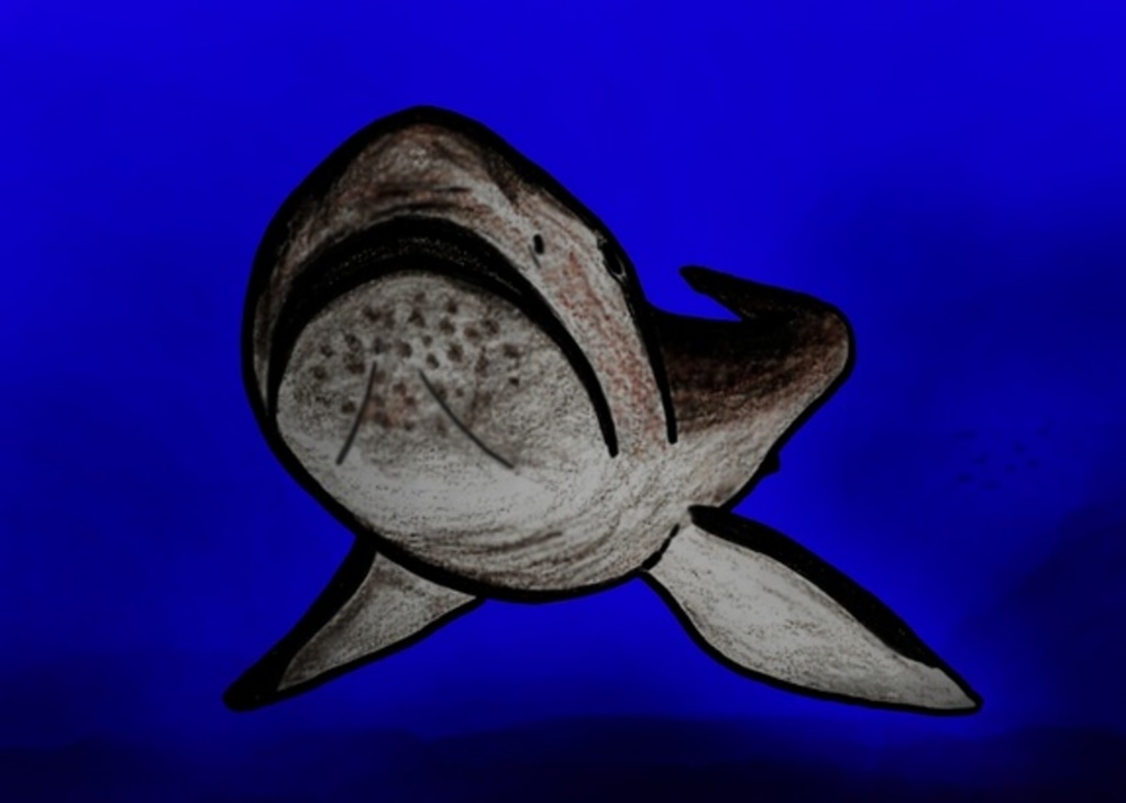 Extinct Mackerel Shark