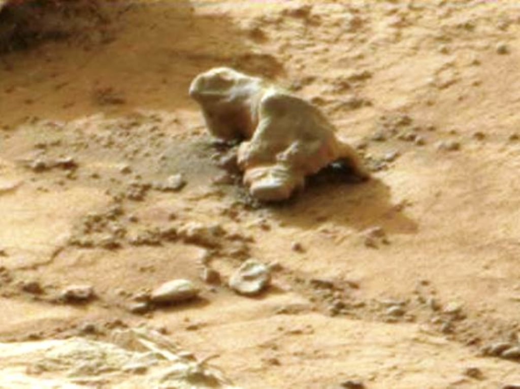 Mars Rat Nasa Curiosity Images