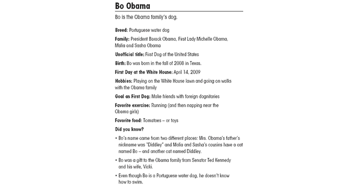 Bo Obama featured on baseball card