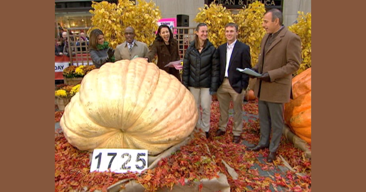 Pumpkin sets new world record: 1,725 pounds
