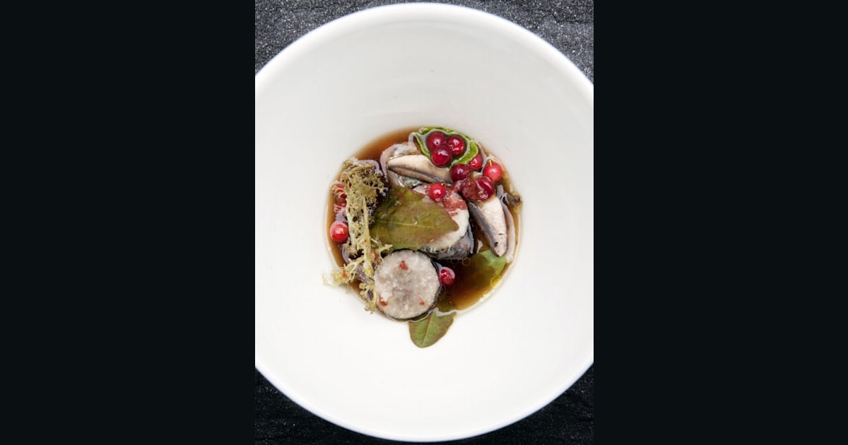 Lichen, fuzzy moss, reindeer tongue: It’s what’s for dinner