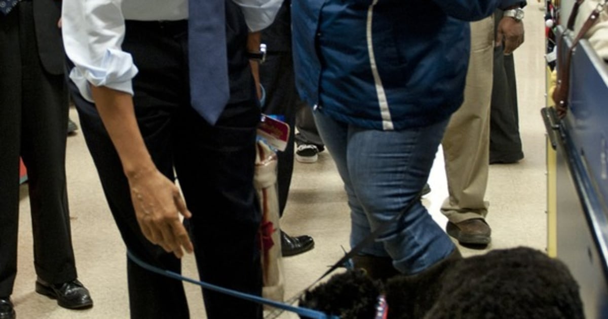 Waiting for Congress, Obama takes dog Bo shopping