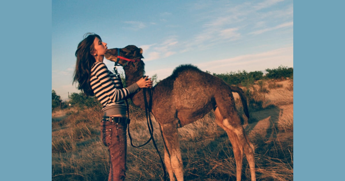 On your mark, get set, trot! Woman races her pet camel