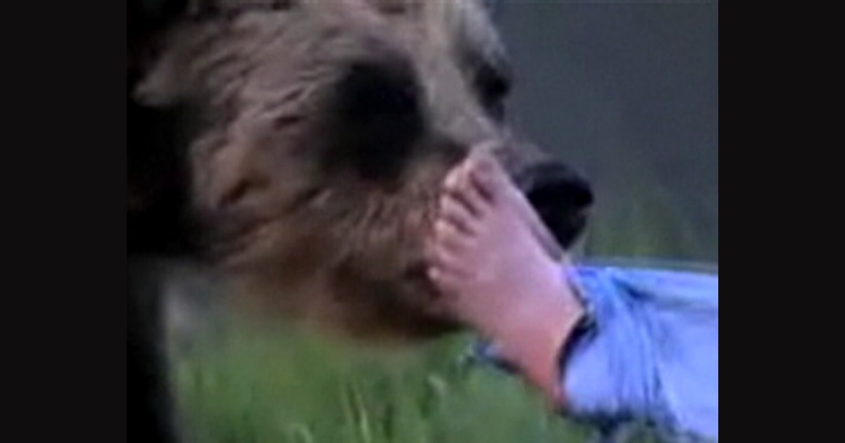 New TV show is unfair to bears, some experts growl