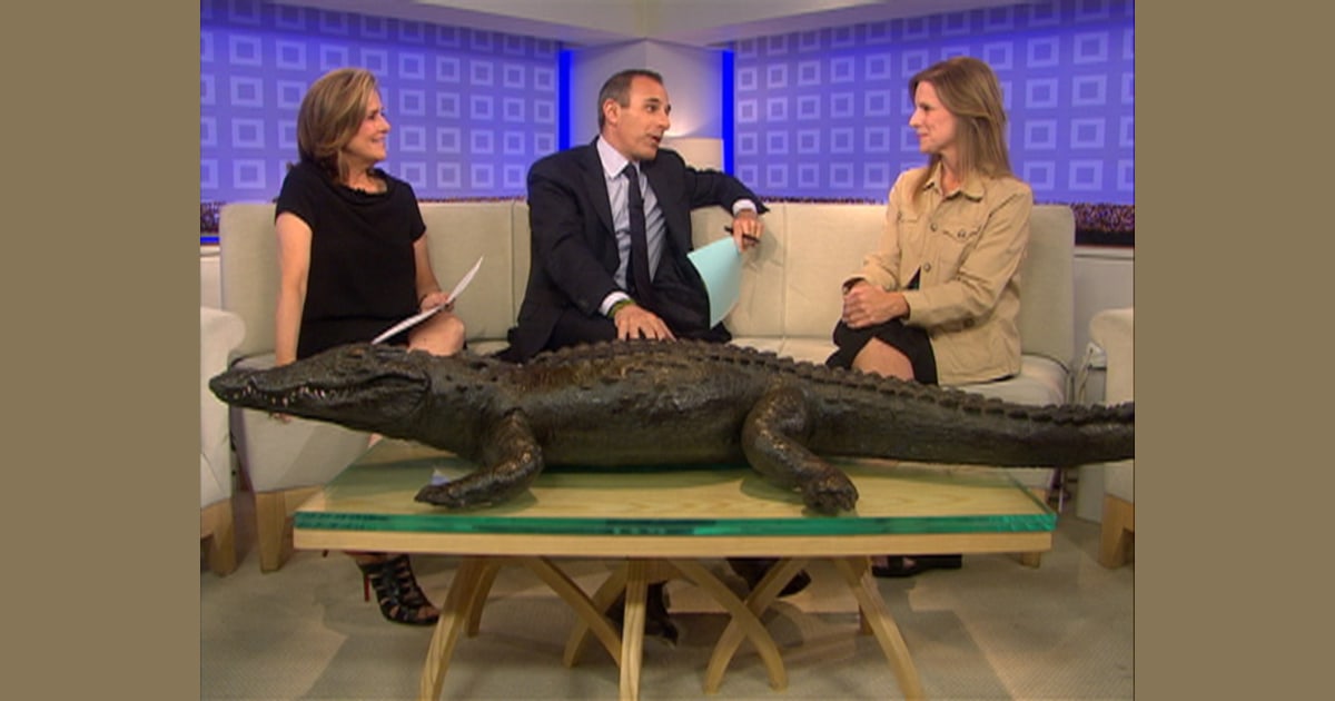 Hello! There’s an 11-foot gator on your doorstep