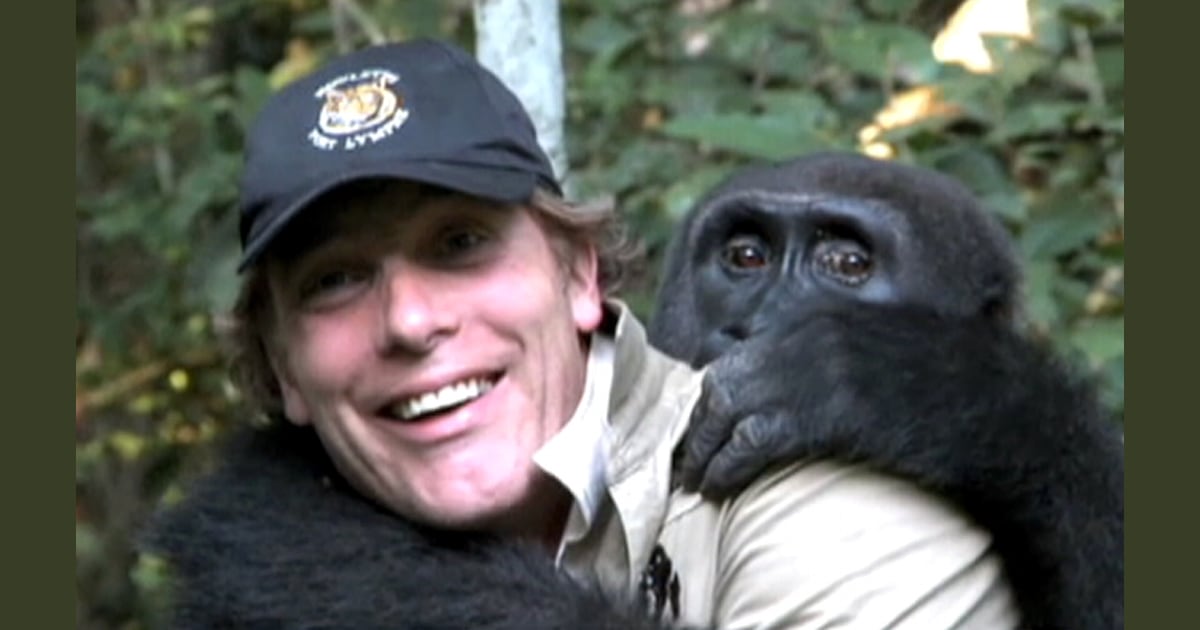 Loving 5-year reunion of man, gorilla