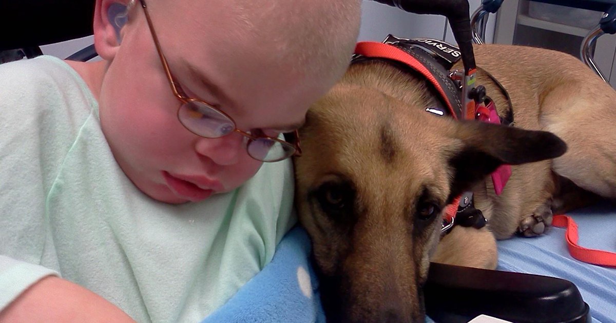 Lucas and Juno: Special bond of a rescue dog and dying boy