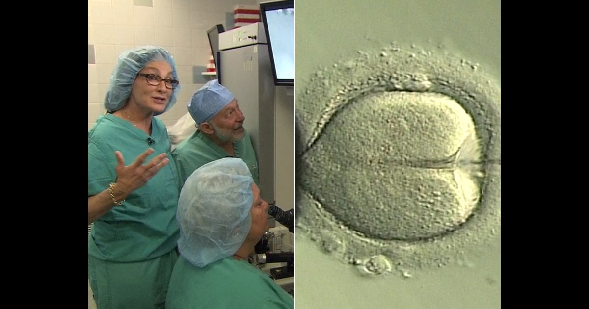 Moment of conception: Egg fertilized live on TV