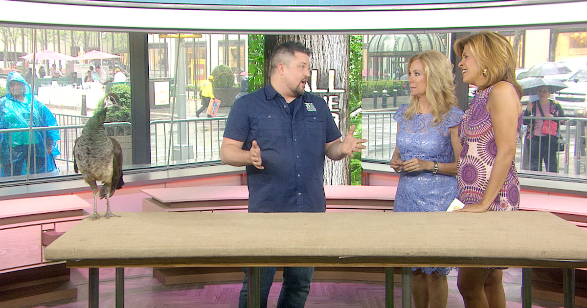 Llama, monkey, peacock pay KLG, Hoda a visit