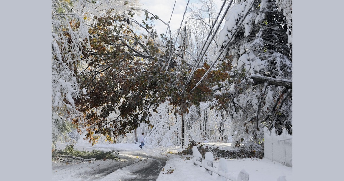 Northeast recovering from freak snowstorm