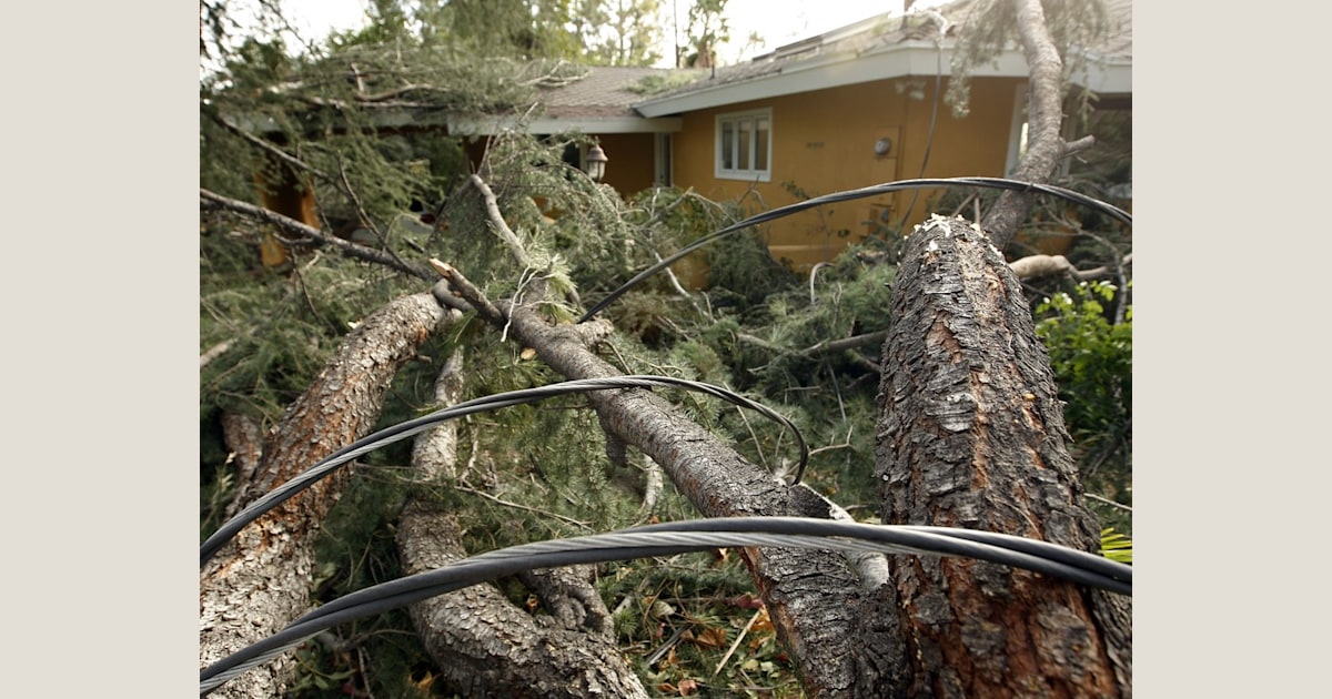 Fierce winds wreak havoc in western US