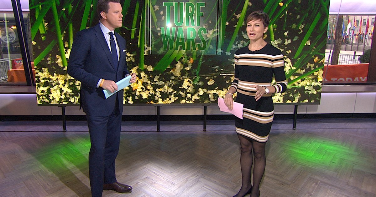 'This is so close to home': TODAY viewers respond to NBC report on ...