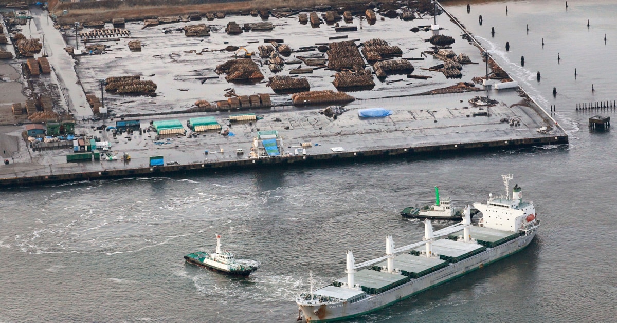 Massive earthquake hits Japan