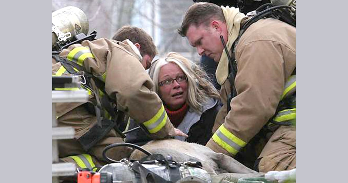 Firefighter revives dog using mouth-to-snout resuscitation