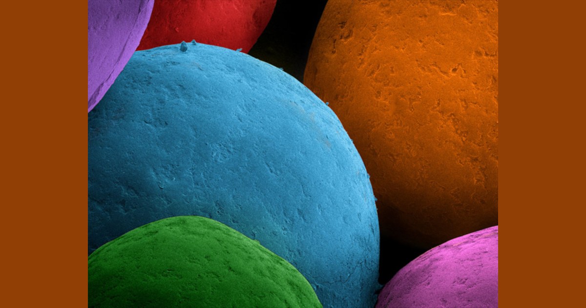 Close-up cuisine: Food under the microscope