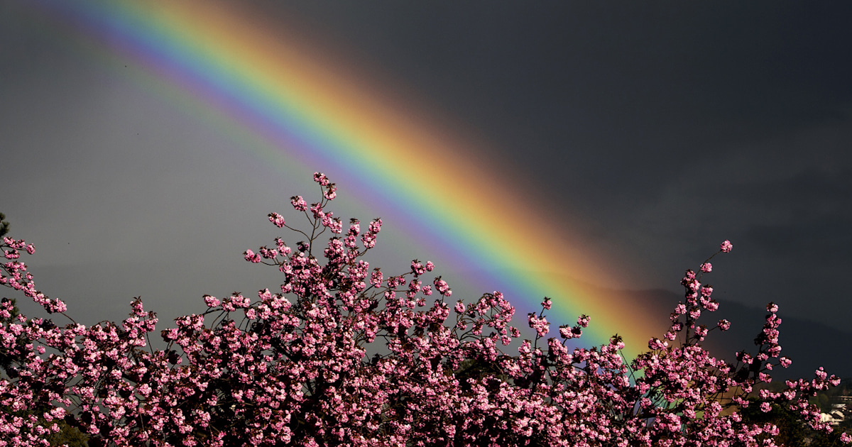 Spring is in the air!
