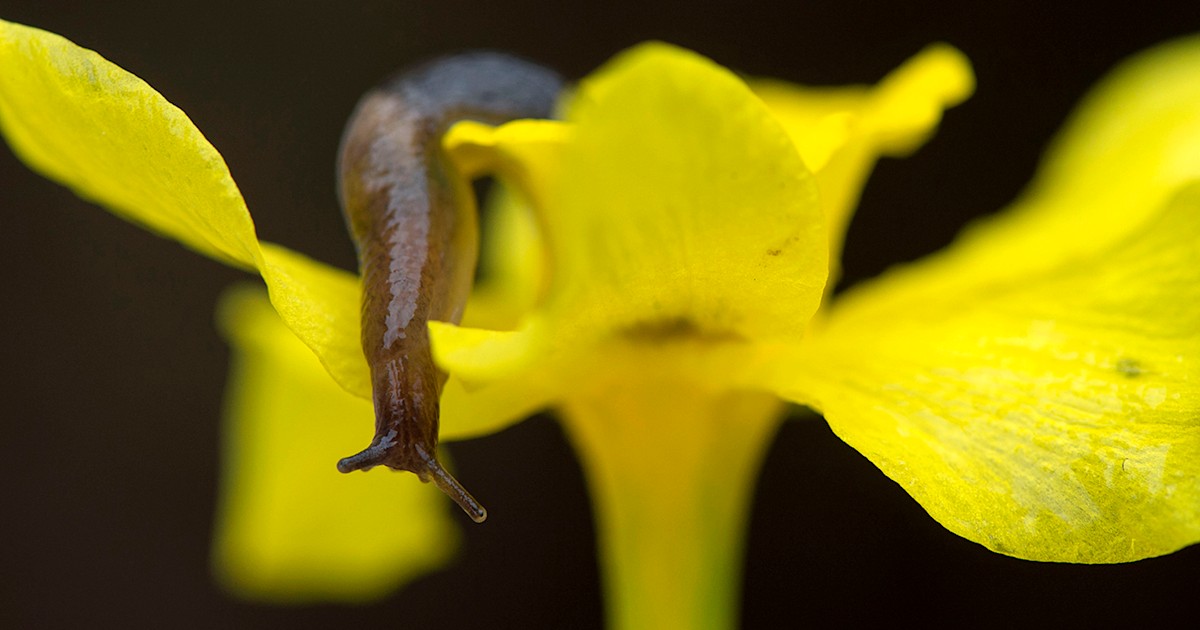 Spring is in the air! Enjoy beautiful images of the season