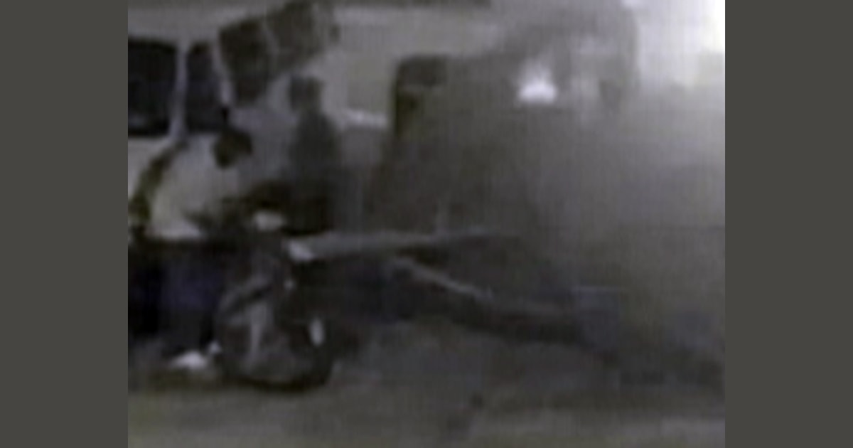 Crooks chop down tree, steal bike