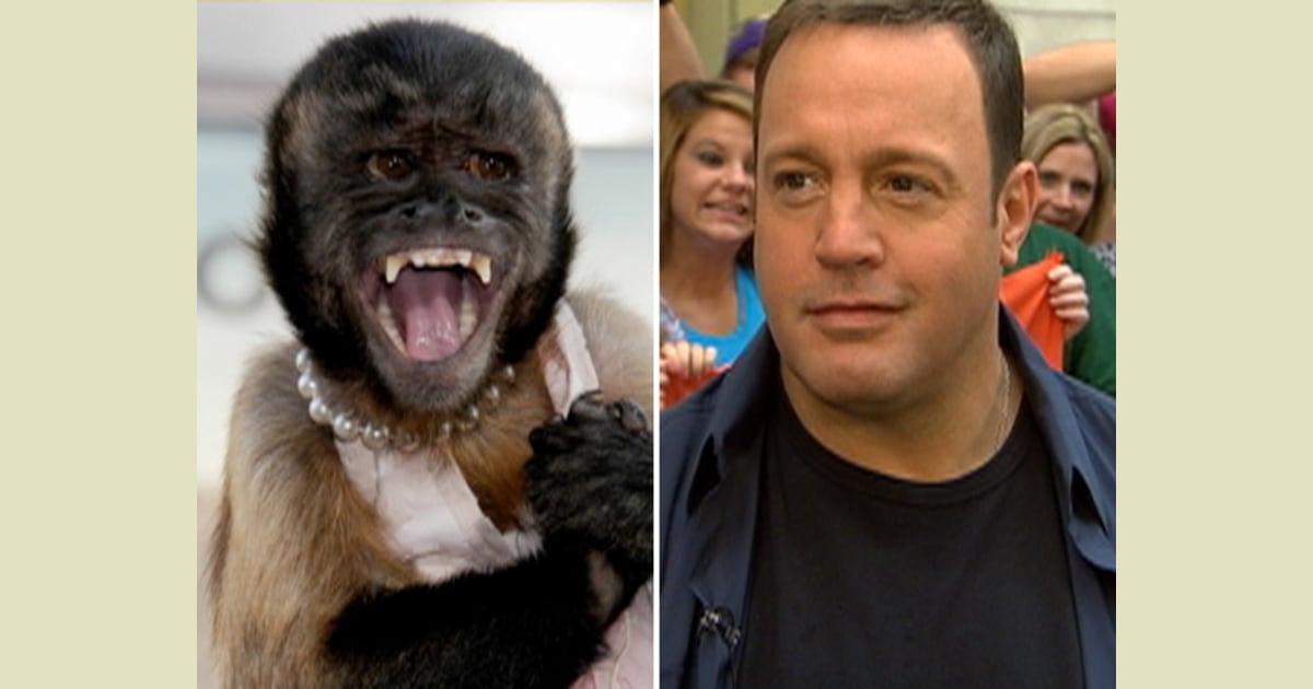 ‘Zookeeper’ talks on-set monkey business