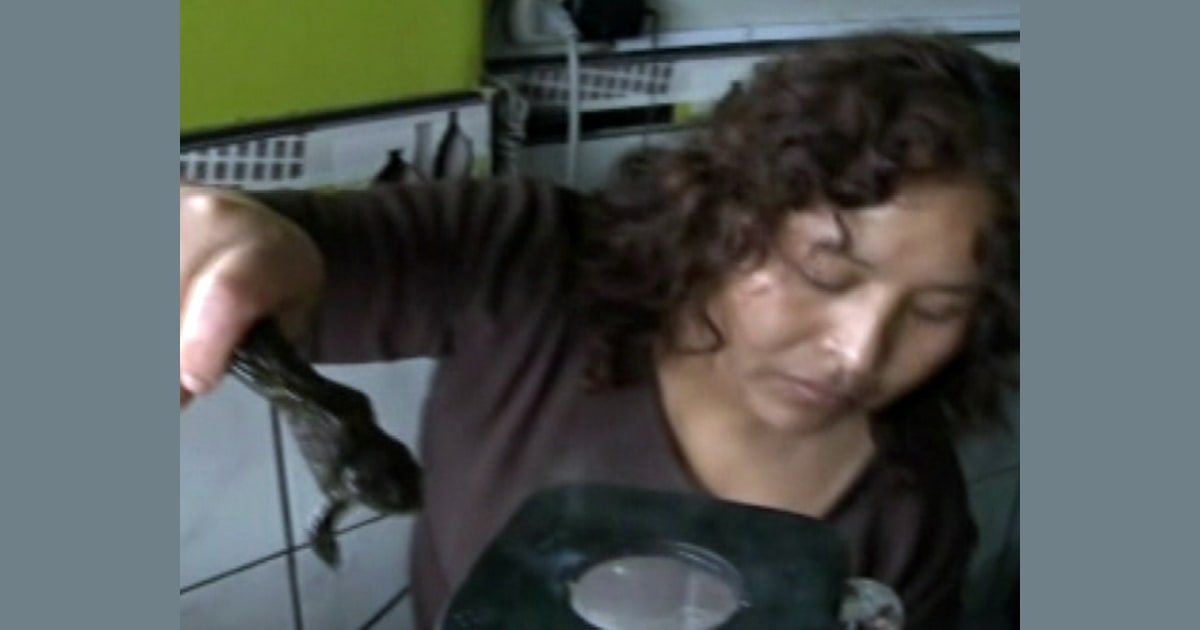 Peru bar serves fresh frog juice