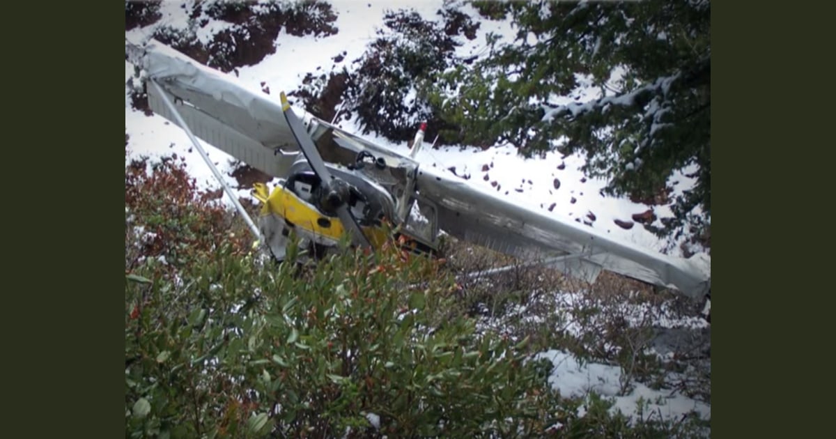 Stranded family rescued from plane crash