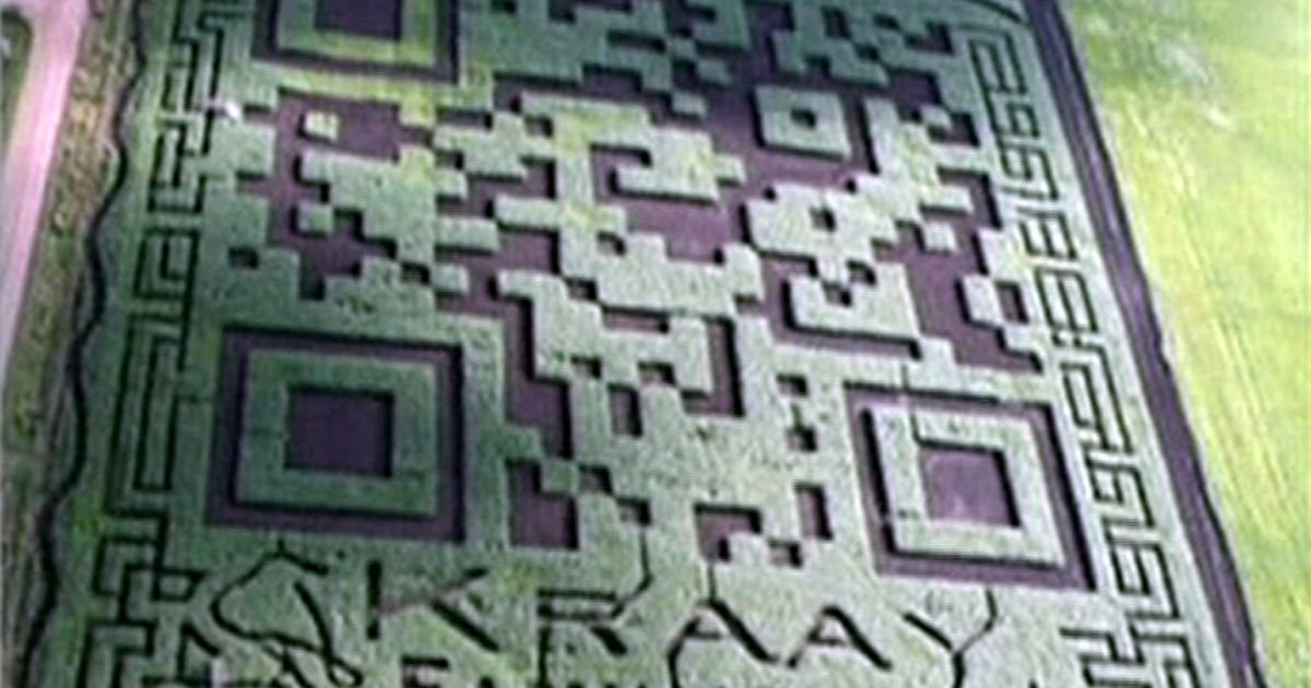Scan this: Corn maze is largest QR code