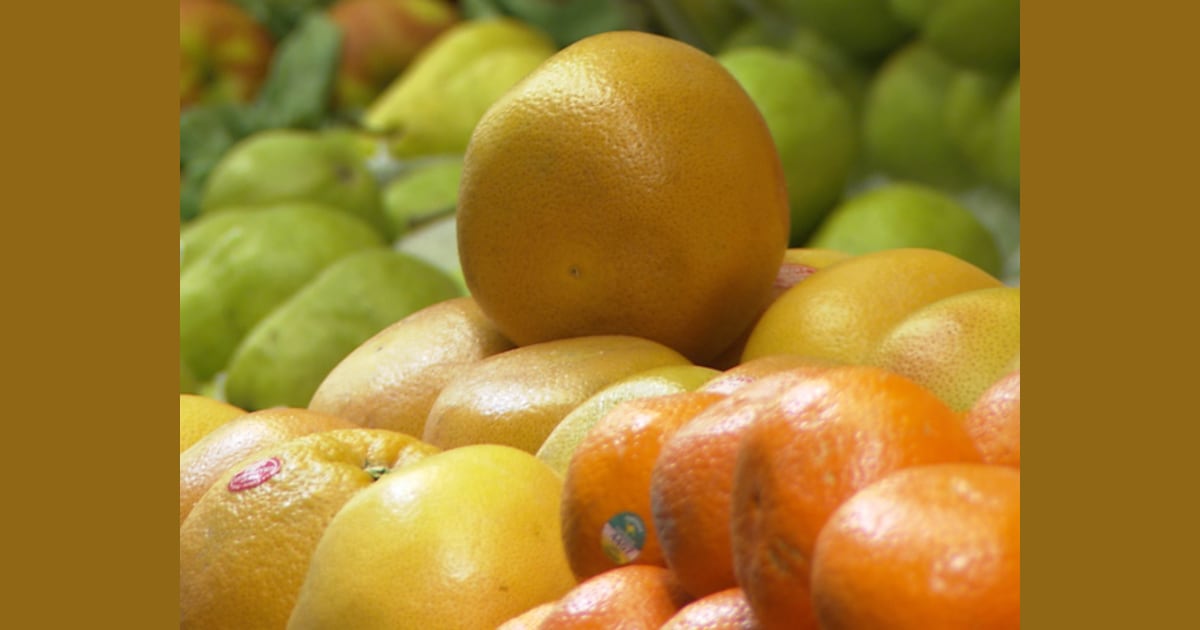 Grapefruit-prescription combo could be dire