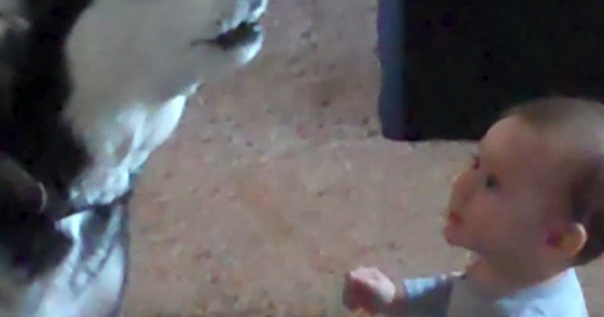 TODAY’s viral video roundup